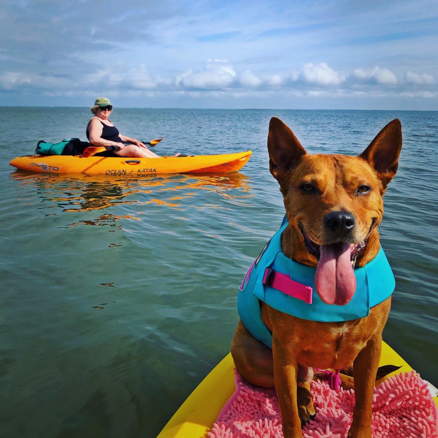 The Great Calusa Blueway - Visit Fort Myers - Kayaking & Canoeing in SW FL
