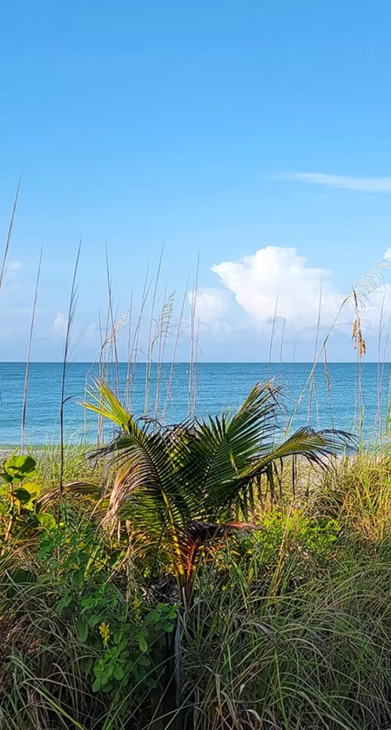 Lee County VCB Tourism | Lee County Visitor & Convention Bureau | Marketing